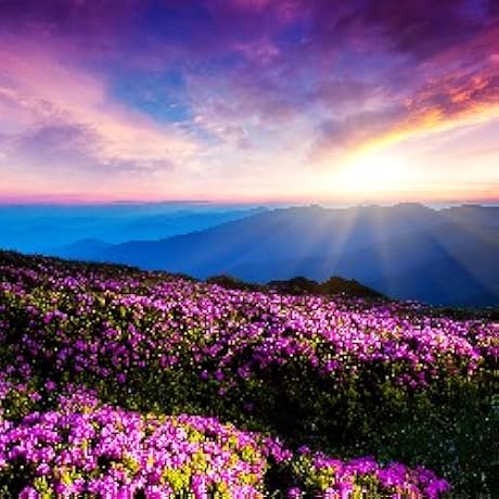 Moving On Doesn't Mean Letting Go: A Modern Guide to Navigating Loss: Moffa LCSW, Gina ...