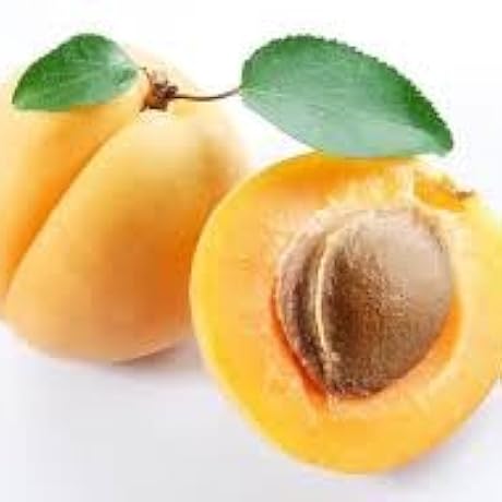 Effective Java 3, Bloch, Joshua , eBook - Amazon.com