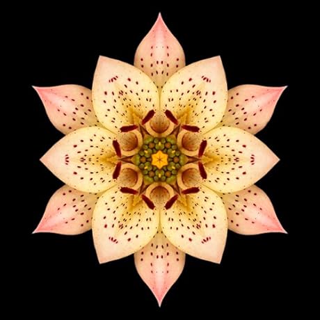 Sylvania SRCD838 5-in-1 Nostalgic Turntable with CD, Cassette, Radio ...