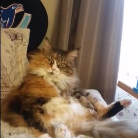 Mepal Food Storage Container 7-Piece Set - Food Containers - Kitchen ...