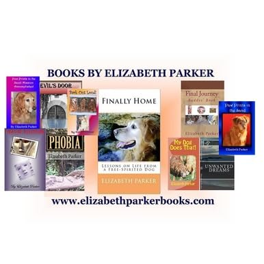 SQL Pocket Guide: A Guide to SQL Usage: Amazon.co.uk: Zhao, Alice ...