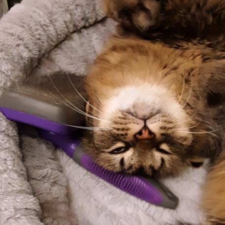 Buy Get Programming with JavaScript Book Online at Low Prices in India ...