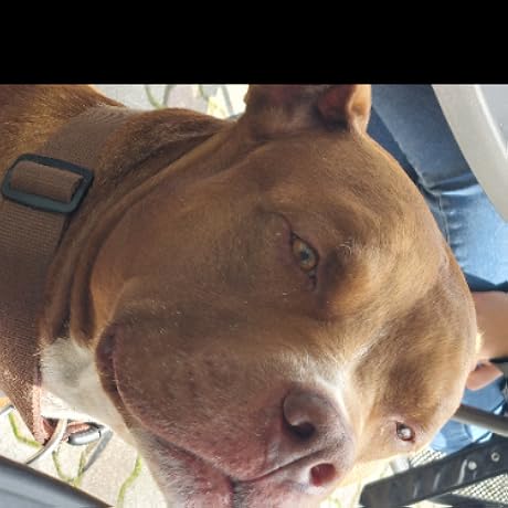 Learning OpenCV 4 Computer Vision with Python 3: Get to grips with ...