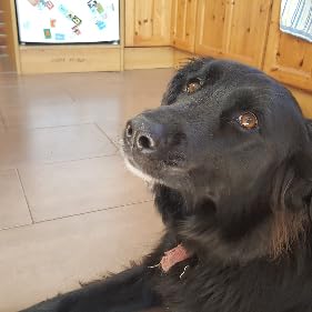 CoderDojo Nano: Building a Website: Create with Code: Hatter, Clyde ...