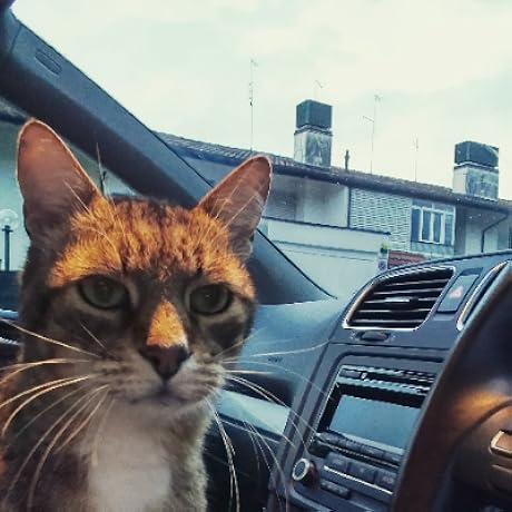 A Primer on Scientific Programming with Python (Texts in Computational ...