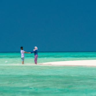 Python Programming for Young Coders: A Hands-On, Project-Based Introduction to Coding for ...