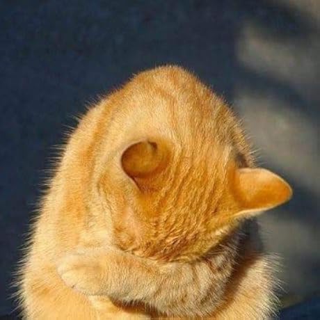 The Exorcist Files: True Stories About the Reality of Evil and How to Defeat It: Martins, Father ...