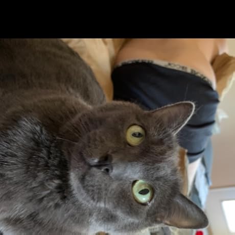 Death Row (Alibis collection) eBook : McFadden, Freida: Amazon.co.uk: Kindle Store