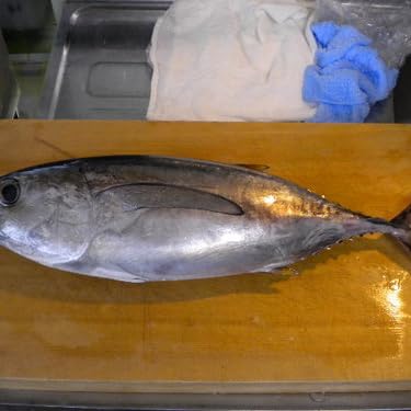 Object-Oriented Python: Master OOP by Building Games and GUIs : Kalb ...