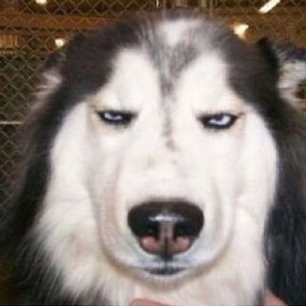 Clue (1985) - Collector's Edition 4K Ultra HD + Blu-ray: Amazon.ca: Various: Movies & TV Shows