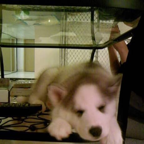 Amazon.com: Teach Your Kids to Code: A Parent-Friendly Guide to Python ...