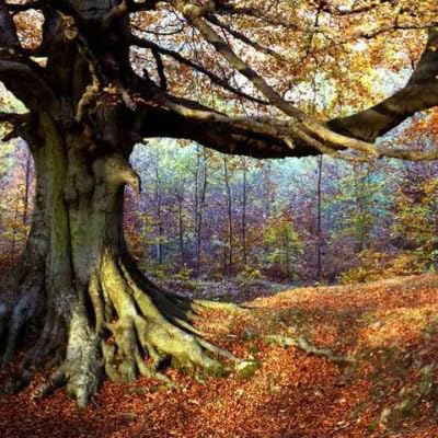 The Omega's Secret Baby (Oceanport Omegas Book 1) - Kindle edition by Byrde, Ann-Katrin. Romance ...