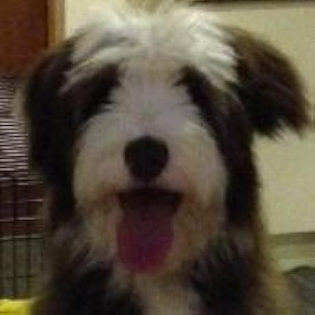 HTML5 in easy steps: McGrath, Mike: 9781840787542: Amazon.com: Books