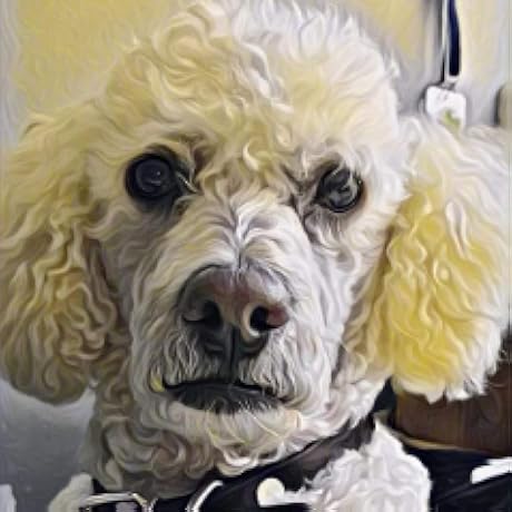 Amazon.com: Nothing to Hide 2. Young Men from Slovakia: 9783959856645: Dlab, Phil: Books