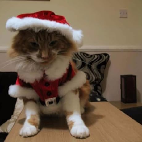 Amazon.com: Chain Me Knot: An Omegaverse Romance (BrokenVerse Omegaverse Romance Series Book 2 ...