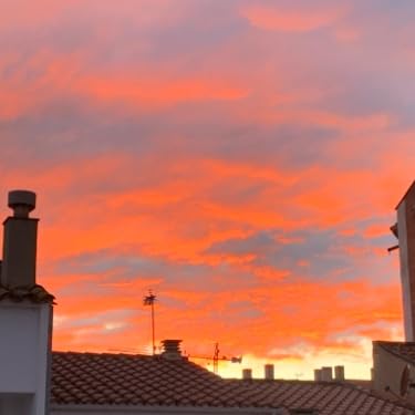 Every Day: Levithan, David: 9780307931887: Books - Amazon.ca