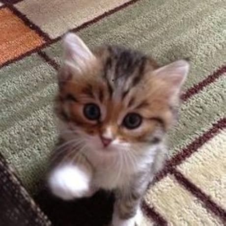 Hangin' by a Moment (Deep Haven Collection Book 5) eBook : Warren, Susan May, Christenson ...