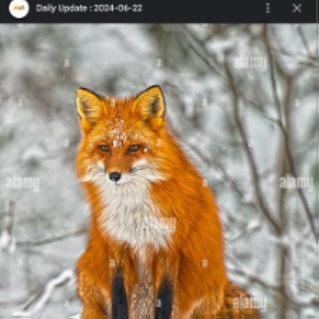 PHP & MySQL: Server-side Web Development: Amazon.co.uk: Duckett, Jon ...