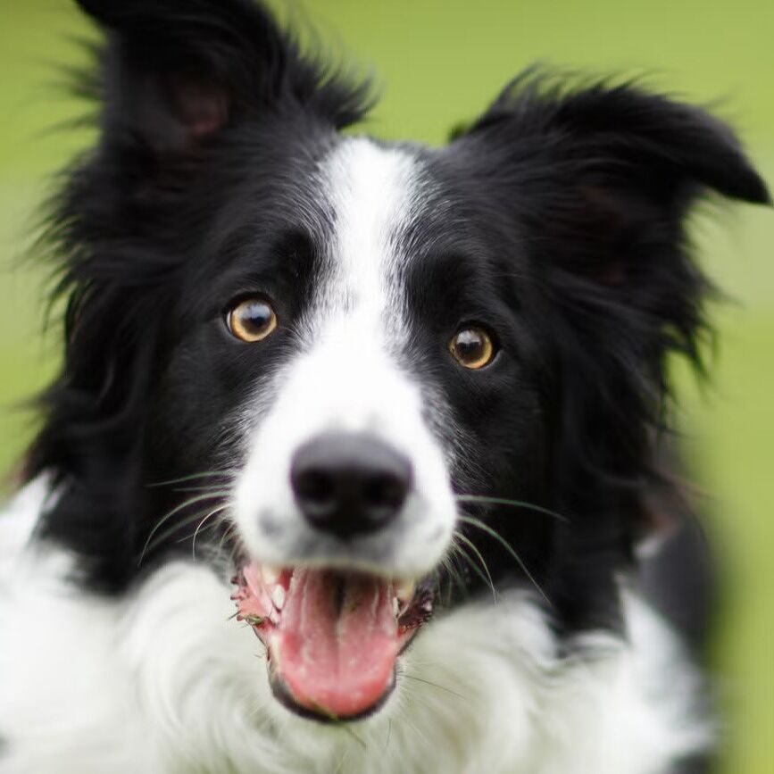 Python Based Ai Models For Time Series Forecasting Lstm Networks Python Stock Market Data 3258