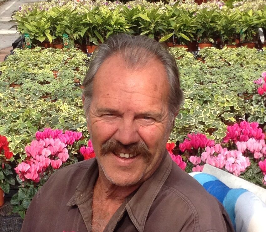 Amazon.com: Thomas Leo Ogren: books, biography, latest update