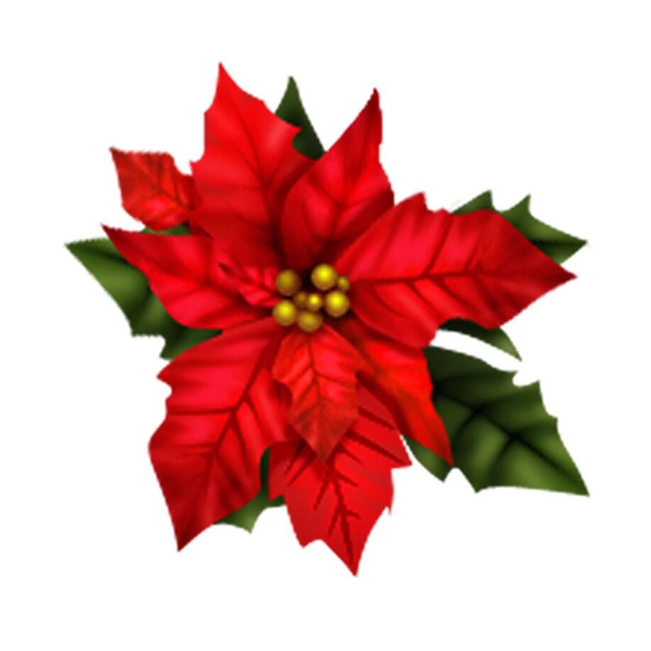 Amazon.com: Visual Basic: Programming, In 8 Hours, For Beginners, Learn Coding Fast: Visual ...