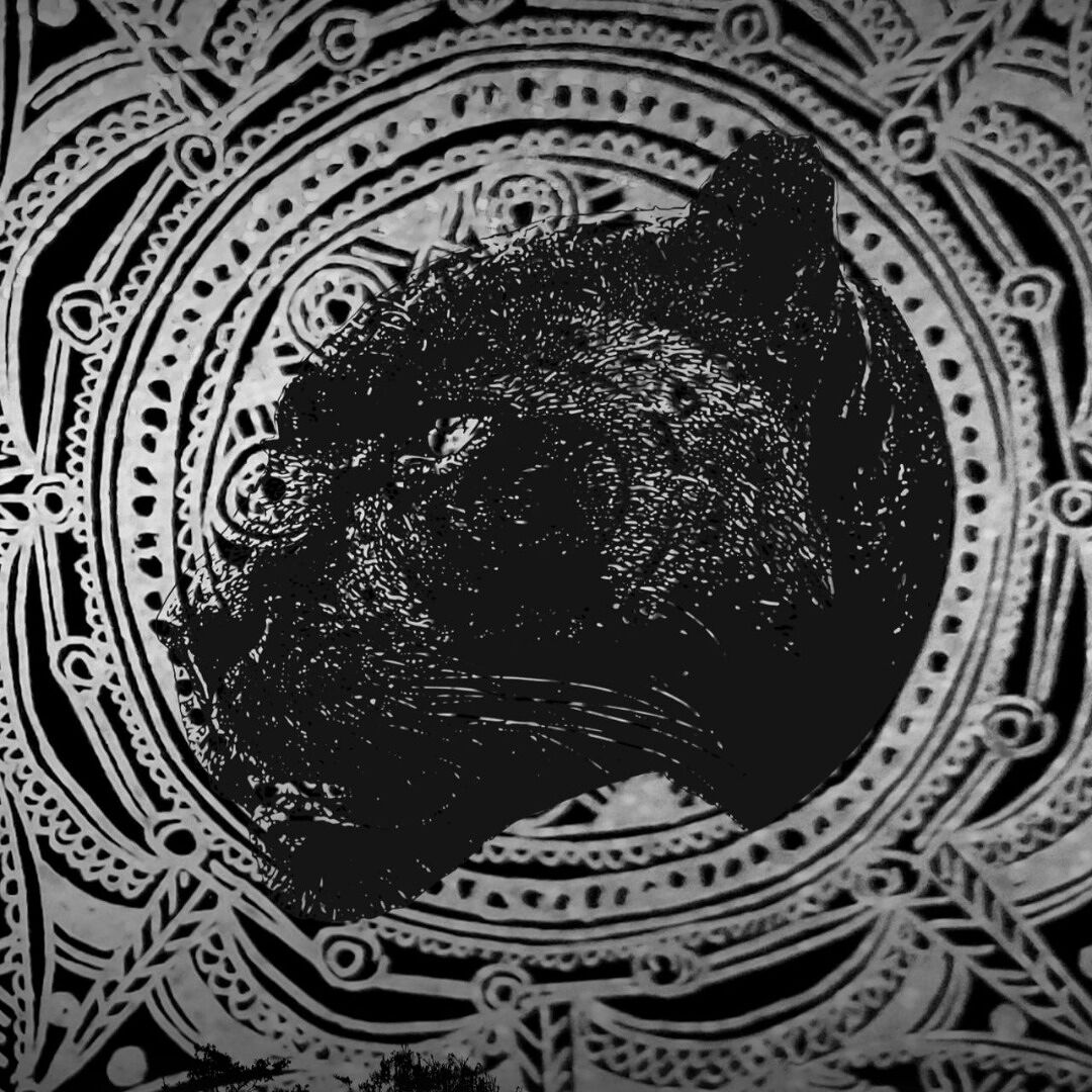 Amazon.com: Etherious: Fresh Beginnings: A LitRPG Progression Fantasy Apocalypse (The System's ...