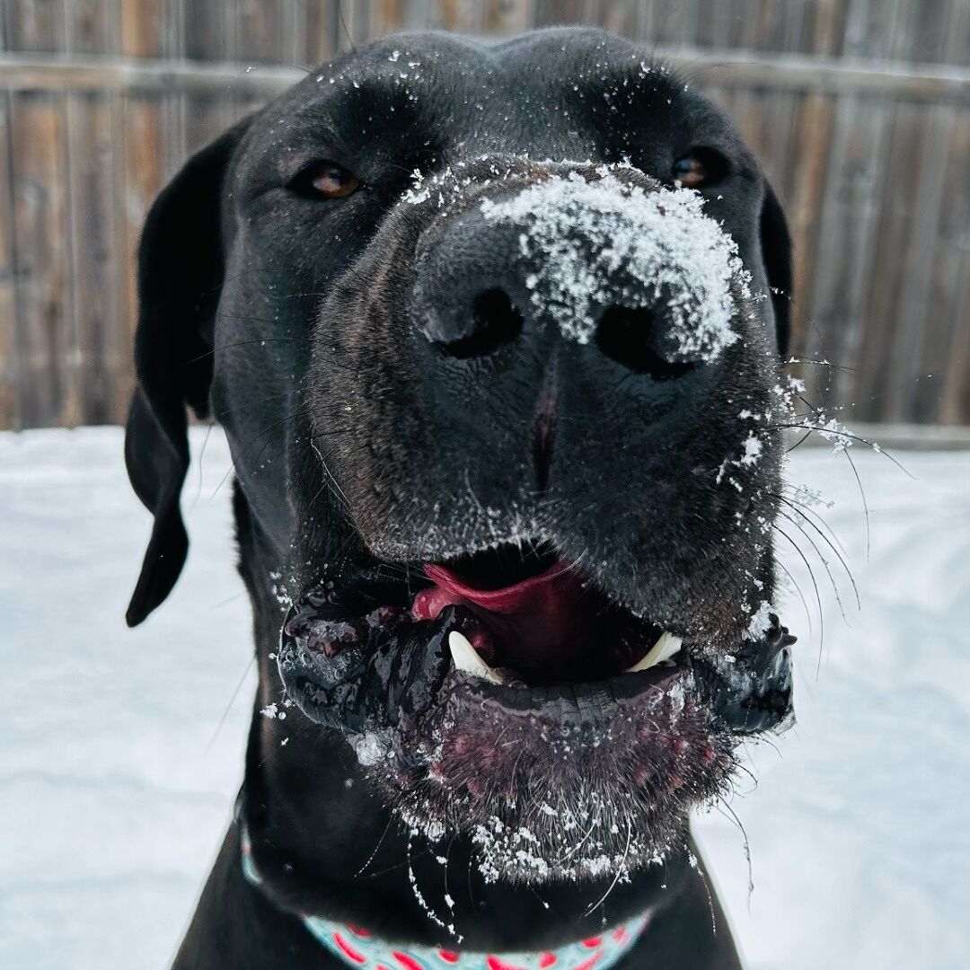 Amazon.com: Equalize: A Post-Apocalyptic LitRPG (Ether Collapse Book 1) eBook : DeBruyn, Ryan ...