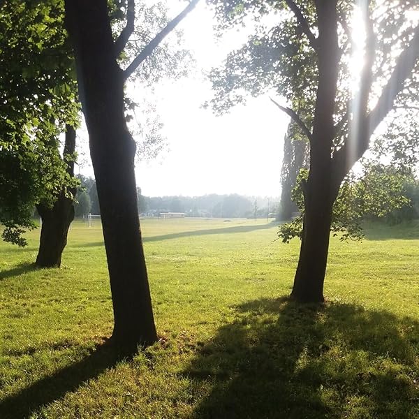 Magical Inheritance 3: A Harem Fantasy Adventure eBook : Pinkhunter, Jack: Amazon.ca: Kindle Store