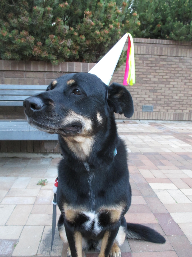 Amazon.com: Pixie Unger: books, biography, latest update