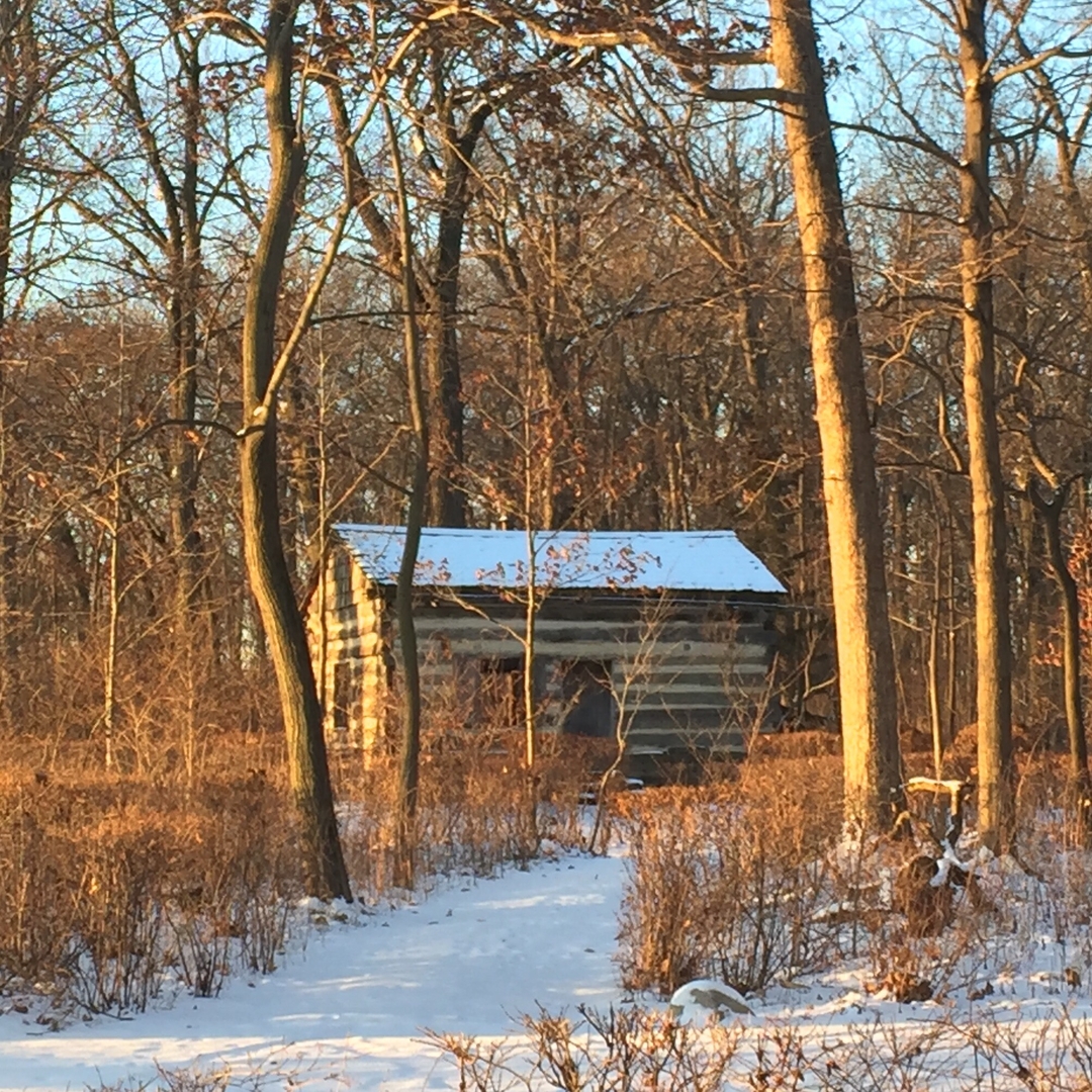 Amazon.com: Stranger Than Fear: Chilling True Stories, Volume 4 eBook : Grimm, Lydia, Lyons, Tom ...