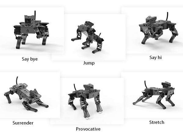 Mua XiaoR Geek Robot Dog Kit for Raspberry Pi 4GB, AI Visual Recognition Interaction Smart Robot ...