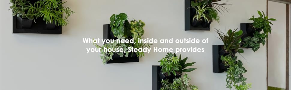 Amazon.com: STEADY HOME Self-Watering Wall-Mounted Planter Indoor ...