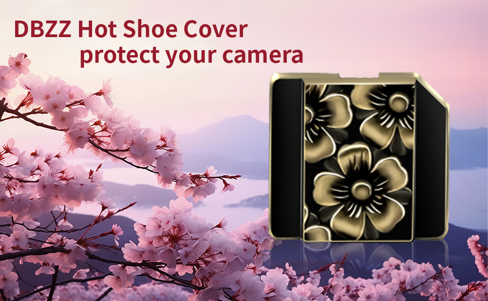Amazon.com : Camera Hot Shoe Cover Protector Cap for Canon Nikon Panasonic Fujifilm Olympus ...