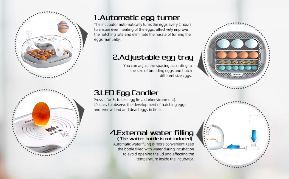 Amazon.com: Egg Incubator, 16 Incubators for Hatching Eggs with Automatic Egg Turning, Egg ...