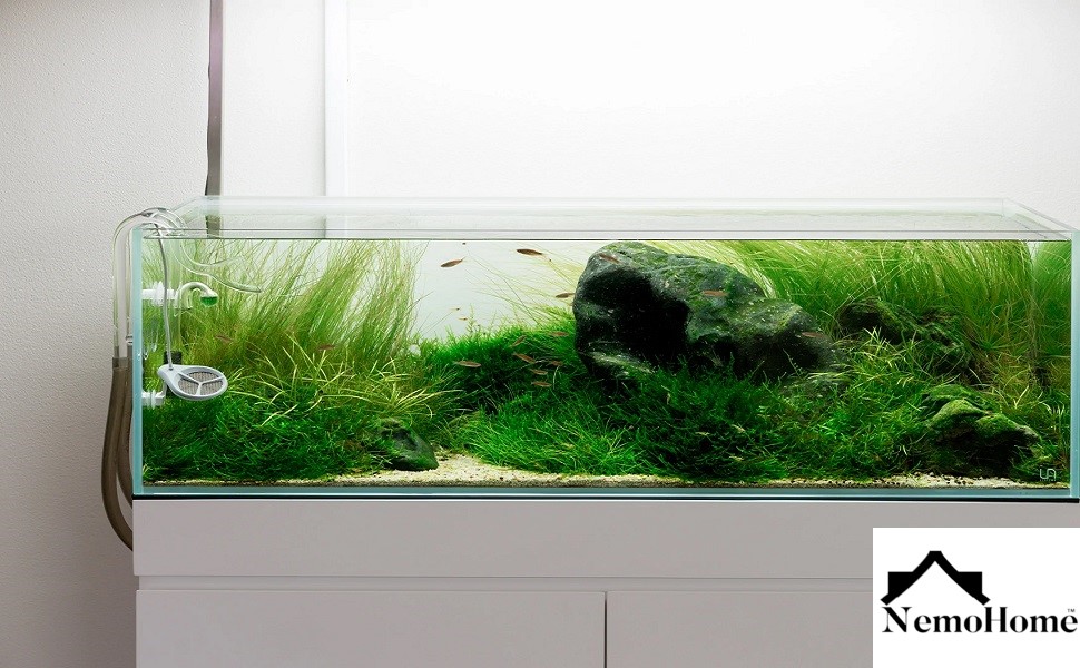 Amazon.com: Fish Tank Mat For Under Tank (24 x 24 in) Aquarium Self ...