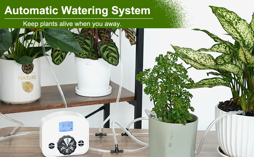 Amazon.com : Automatic Watering System, Automatic Drip Irrigation Kit ...