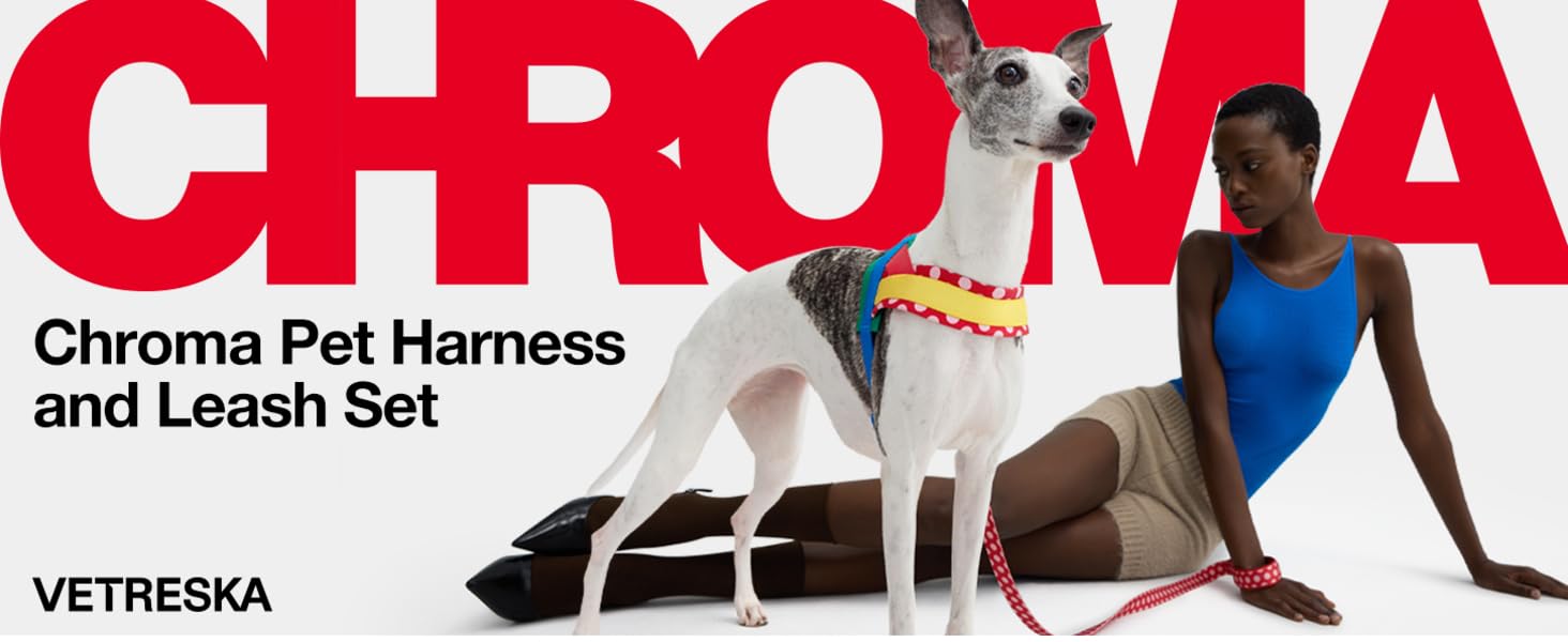 Amazon.com : VETRESKA MoMA Dog Harness and Leash Set, No-Pull Puppy Harness for Walking and ...