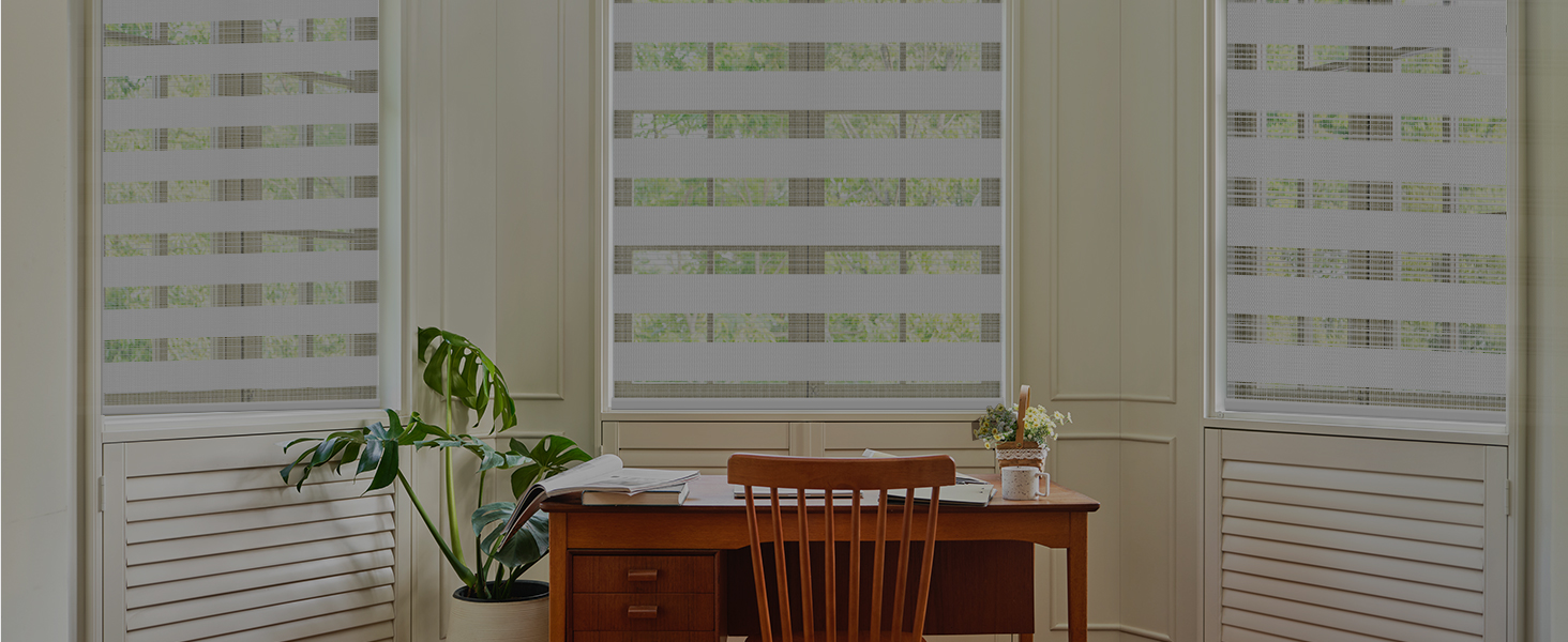 Amazon.com: Allesin Motorized Zebra Blinds for Windows - Remote Controlled, Alexa - Compatible ...