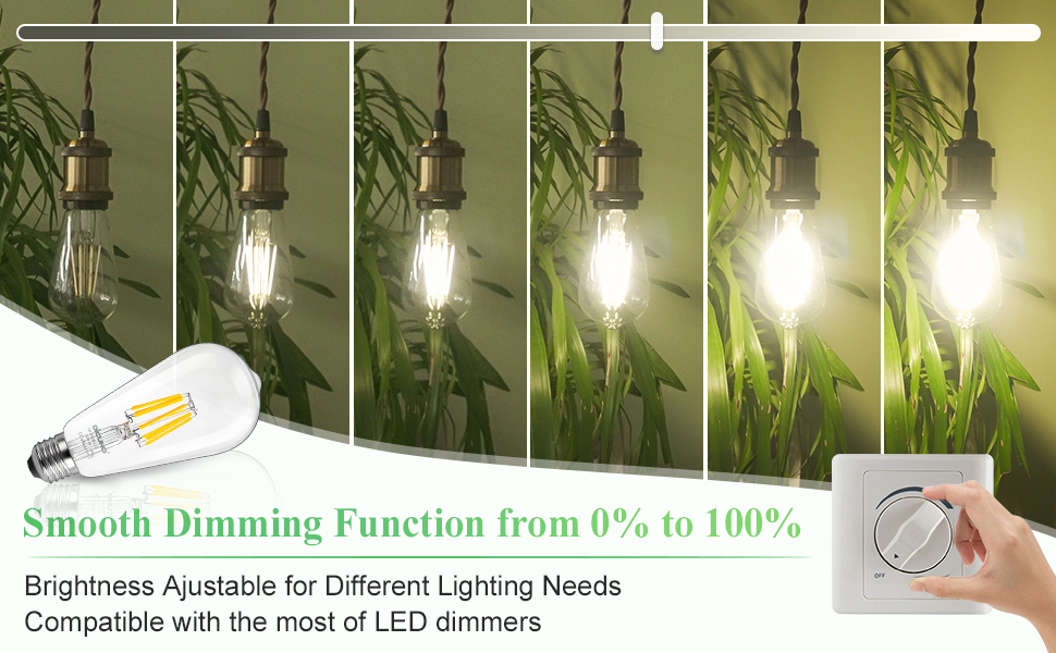 DiCUNO ST64 Edison LED Bulb 60W Equivalent, 6W Daylight White 4500K Dimmable Vintage LED Light ...