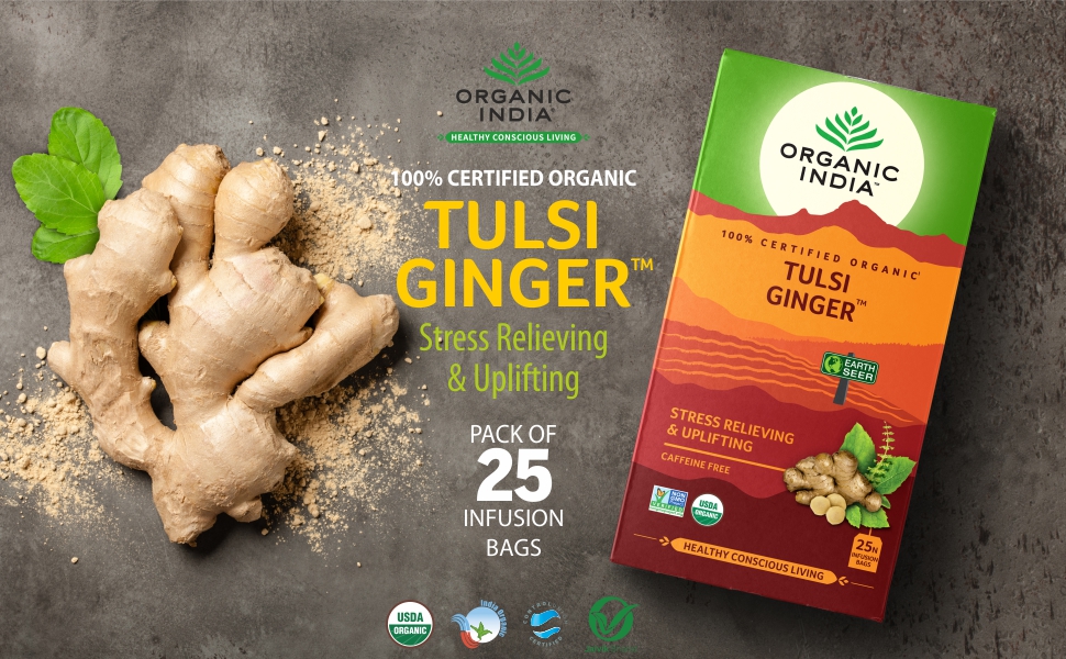 Organic India Tulsi Ginger 25 Tea Bag- (Pack of 2) : Amazon.in: Grocery & Gourmet Foods