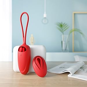 FIDECH Vibro Ei mit Funkfernbedienung, Liebeskugeln Vibrationsei Bullet Vibratoren für Sie ...