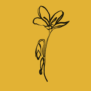 The Ballerina of Auschwitz: A dramatic retelling of The Choice: Amazon.co.uk: Eger, Edith ...