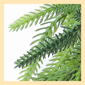 Amazon.com: Jutom Christmas Norfolk Pine Garland Realistic Artificial Faux Greenery Cedar ...
