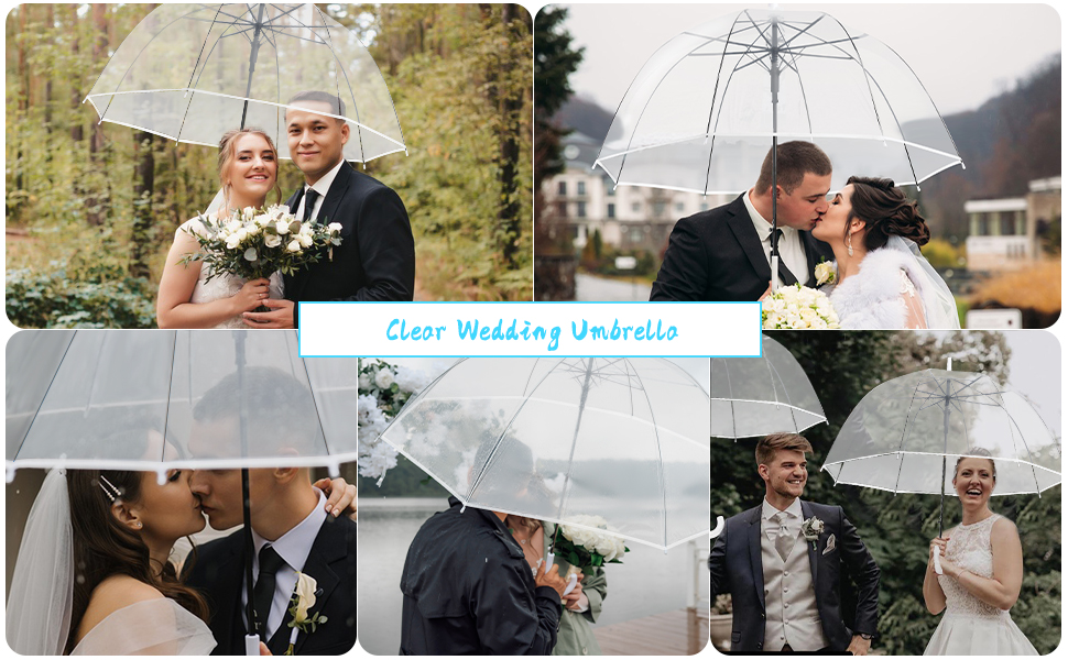 Amazon.com: ZXRMY Clear Bubble Dome Umbrella,Rainproof Automatic Opening Umbrellas Large,Clear ...