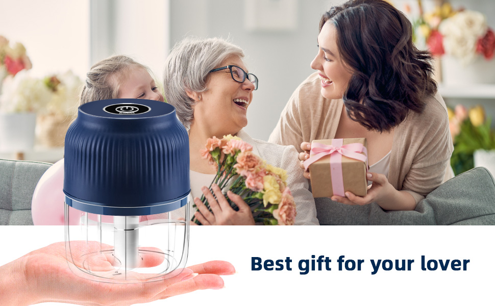 Amazon.com: Mini picadora eléctrica de ajo, procesador de alimentos pequeño portátil, picadora ...