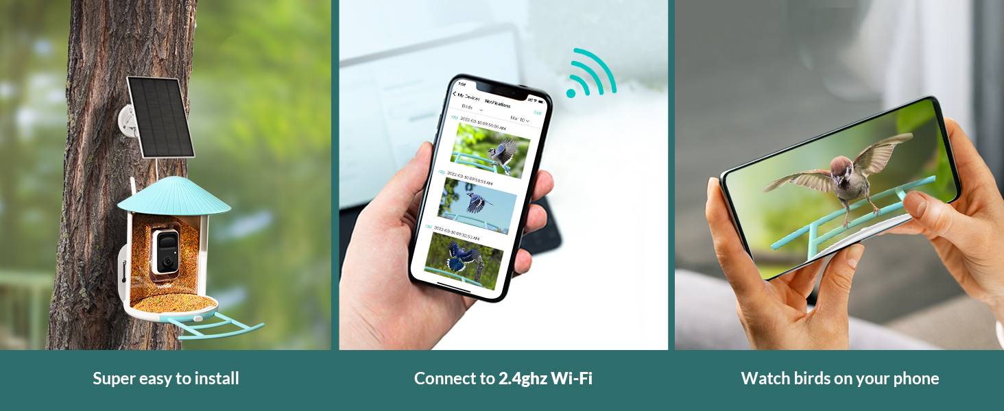 Amazon.com: NETVUE Birdfy Lite- Smart Bird Feeder Camera, Bird Watching Camera Auto Capture Bird ...