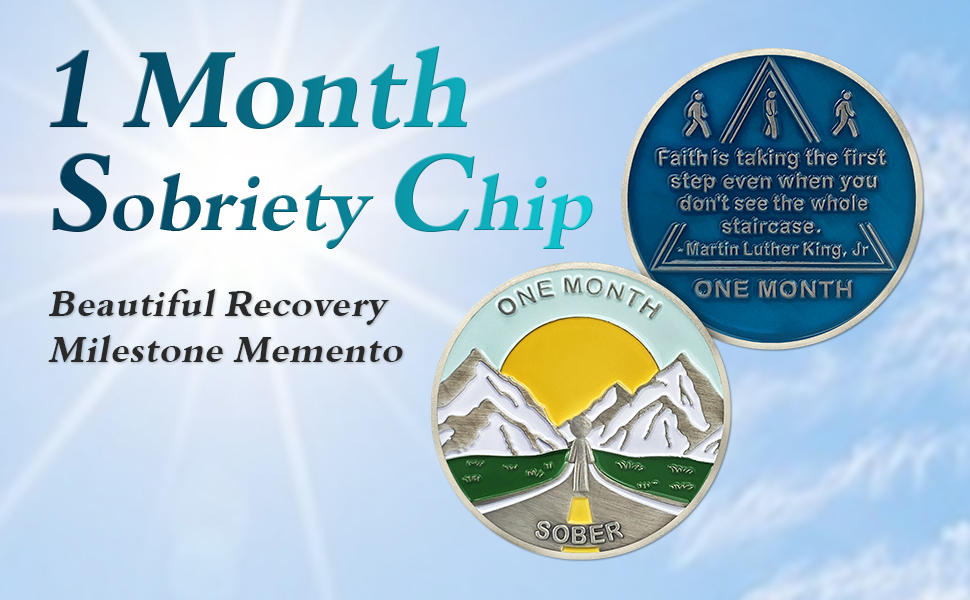Amazon.com : 1 Month Sobriety Coin Alcoholics Anonymous Medallion 30 ...