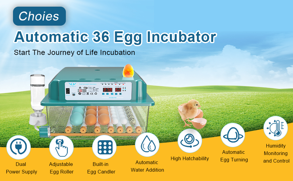 Amazon.com: Choies 36 Egg Incubator,Incubators for Hatching Eggs with Automatic Egg Turning ...