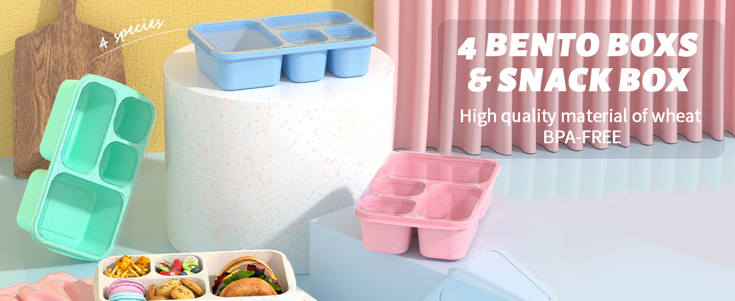 Amazon.com: TEVIKE Bento Lunch Box for kids-4 Pack, Meal Prep Container Microwave Safe, Lunch ...