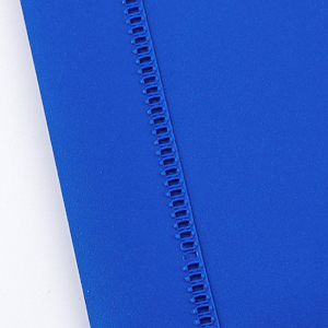 Amazon.com : ViVin Plastic Pocket Folder with 3 Hole Punch, 12 Pack, Heavy Duty Poly File Folder ...